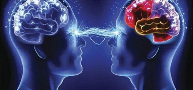 Ja 5 gjëra që i bën instinktivisht vetëm truri | Javanews.al